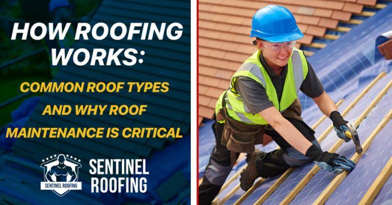 How Roofing Works: Common Roof Types and Why Roof Maintenance is ...